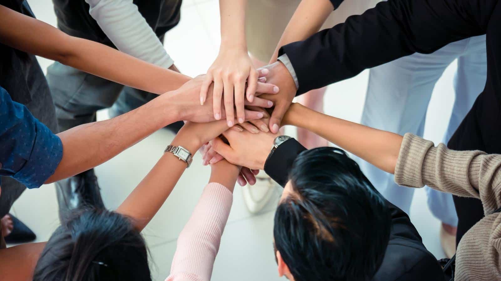 Experienced & Professional Translators