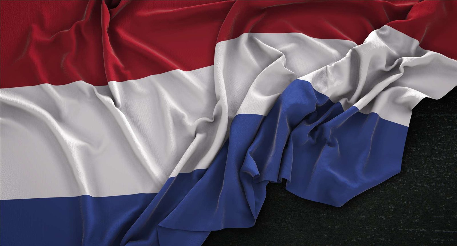 Dutch Translation Services | Content & Websistes